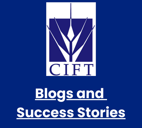 CIFT | Blog